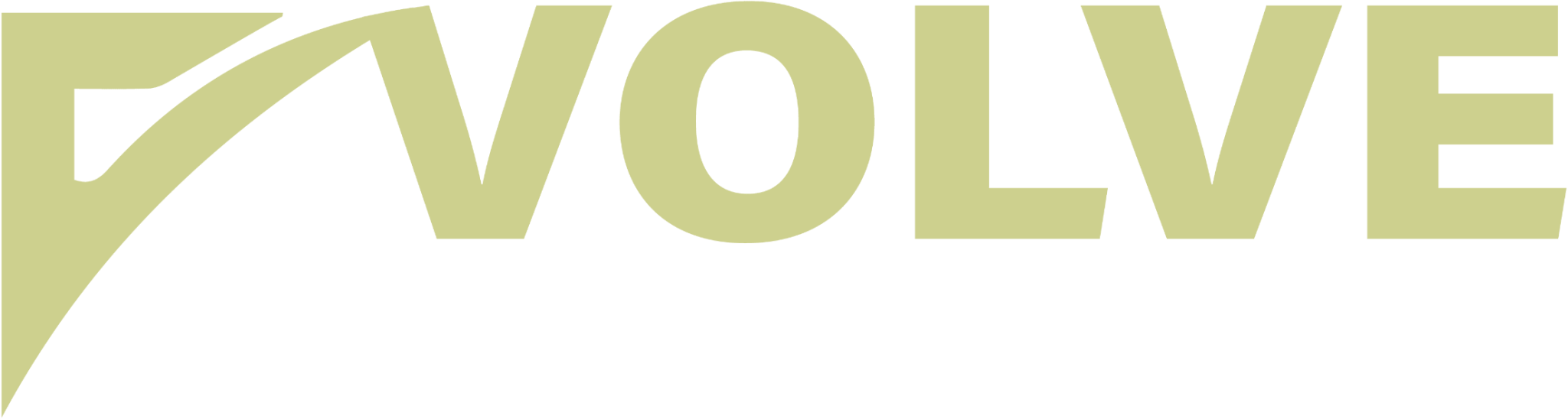 Career - Evolve Esolutions